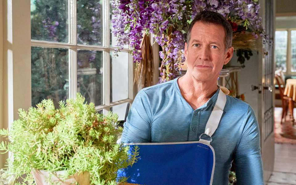 Who Cut The Merriwick Flower Good Witch | Best Flower Site