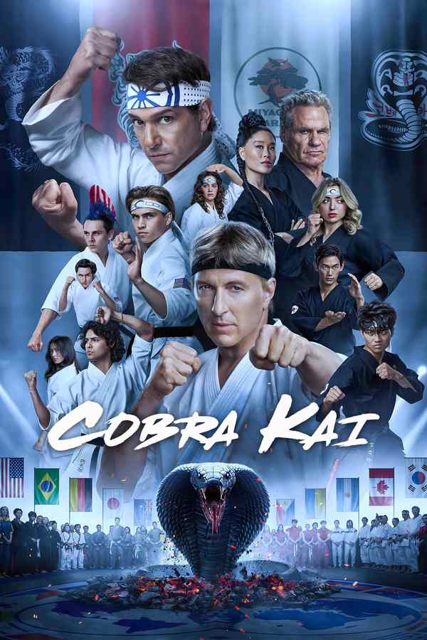 Cobra Kai | Skip the Offensive Content With VidAngel